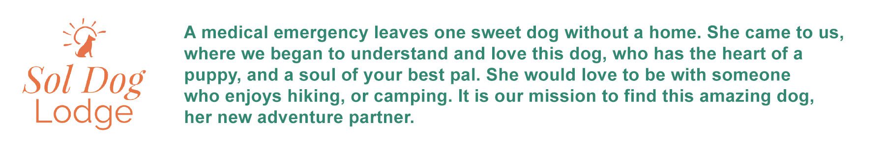 Best Rated Dog Boarding and Training - Sol Dog Lodge and Training Center